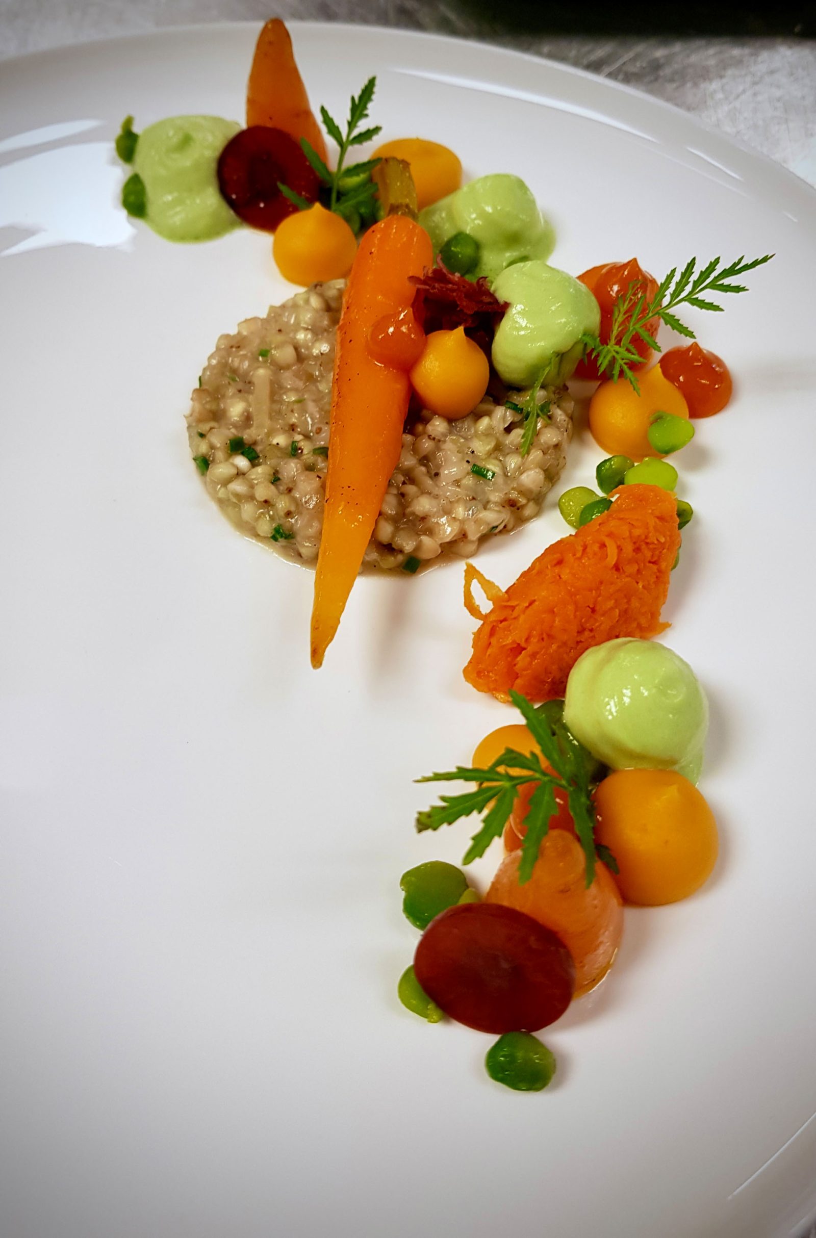 Start - Maike Menzel Private Fine Dining & Kochkurse